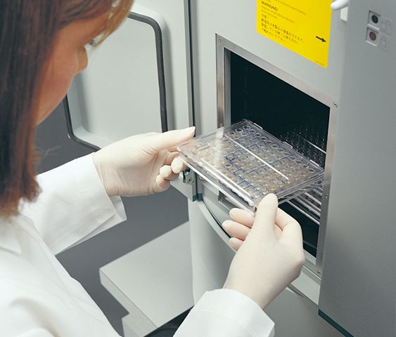 MicroScan Panels: Specialty ID Panels | Beckman Coulter